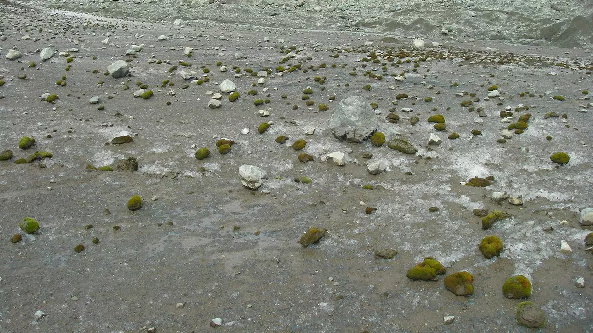 Glaciärens "möss" rör sig och det har forskarna stört sig