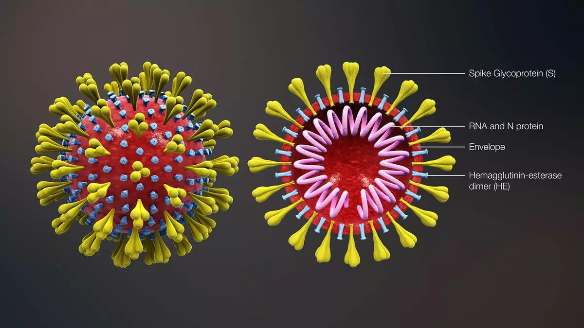 Berapa Lama Virus Bisa Hidup di Permukaan?