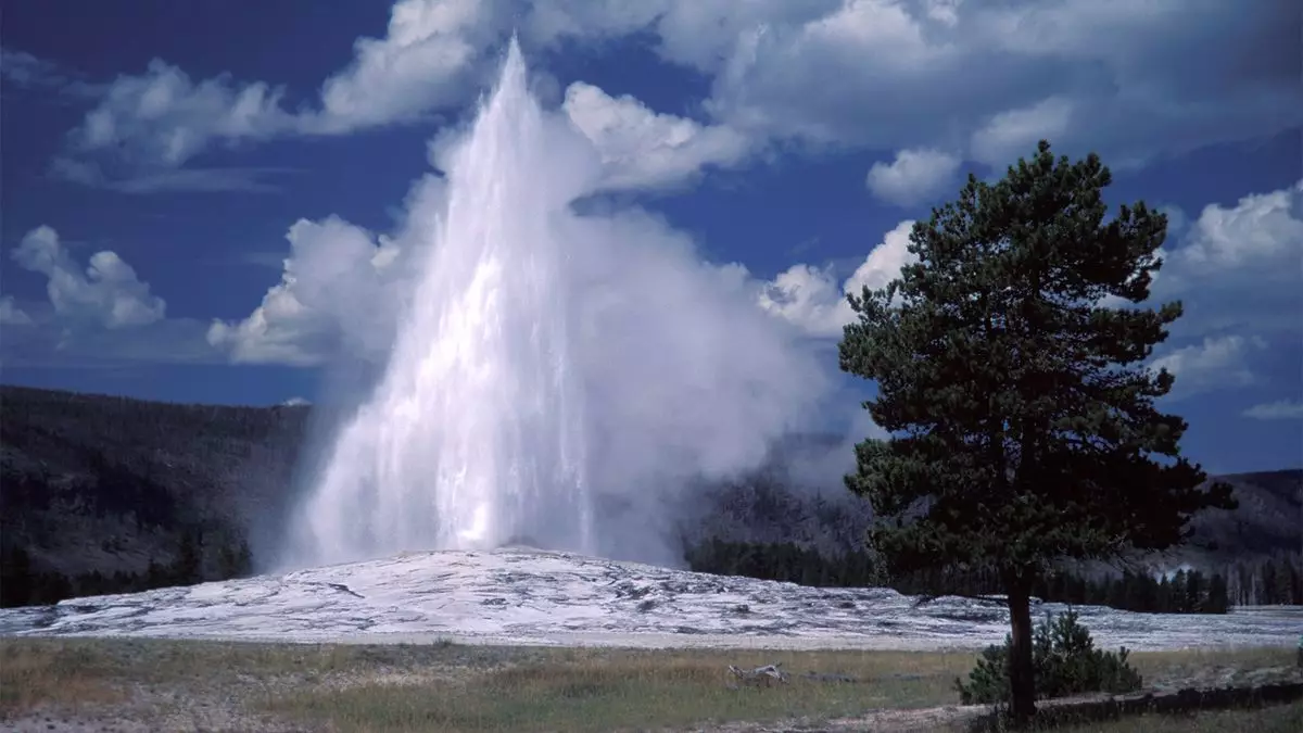 Apakah Old Faithful Petering Out?