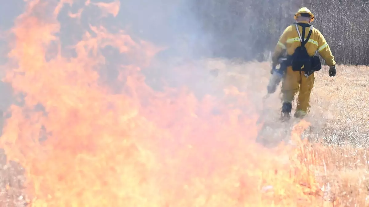 New Jersey's Pinelands si reift fir en Australien-Typ Wildfire