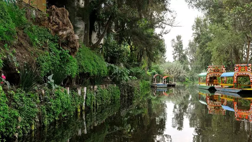 chinampa канали Xochimilco
