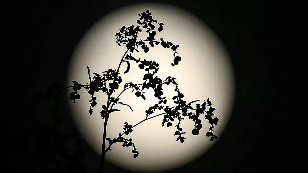 Wurm, Ernte, Blau: Jeder Vollmond hat einen Namen