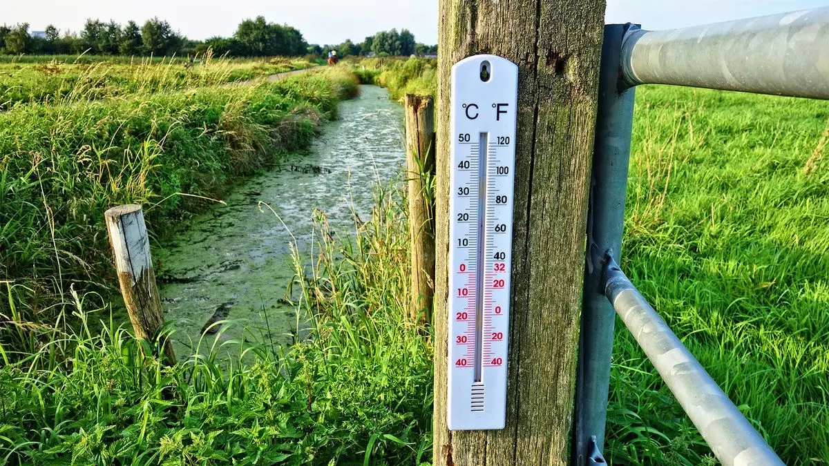 Pam Mae'r Unol Daleithiau yn Defnyddio Fahrenheit yn lle Celsius?