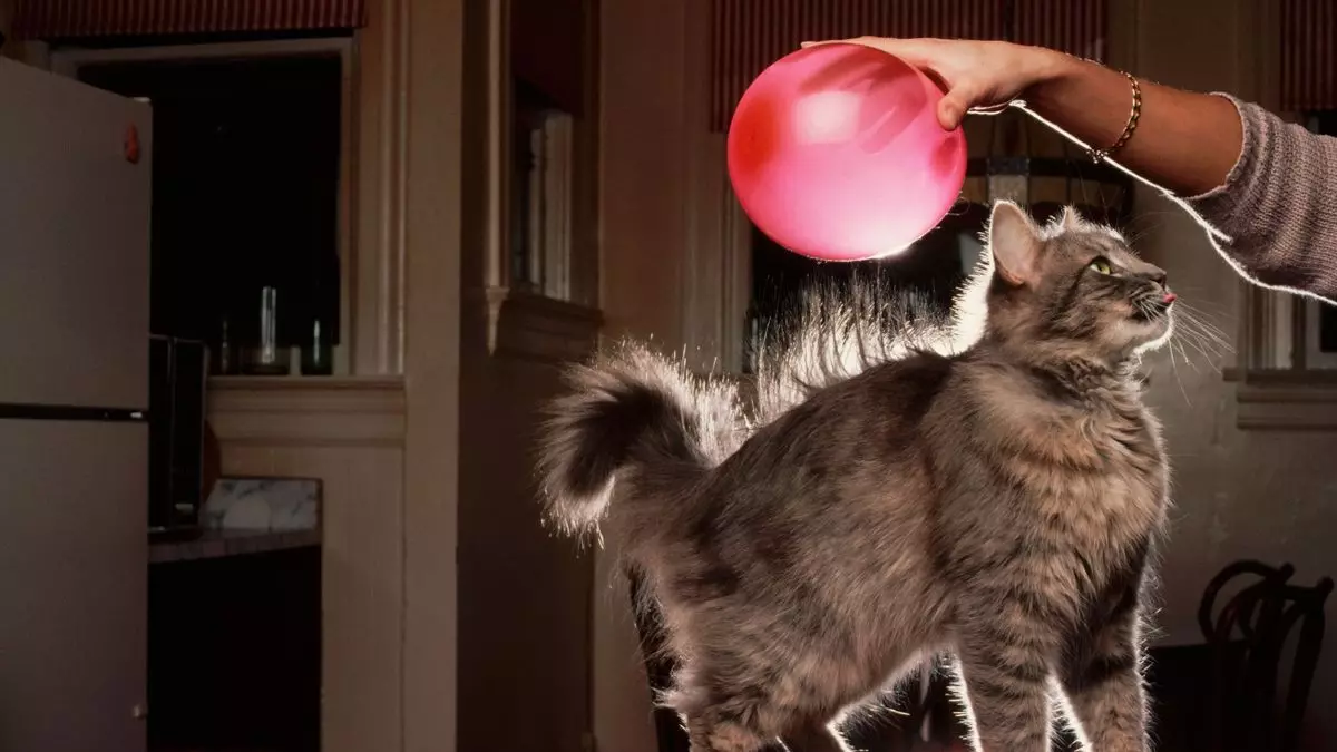 Party Triks: Hvorfor fester ballonger seg til håret?