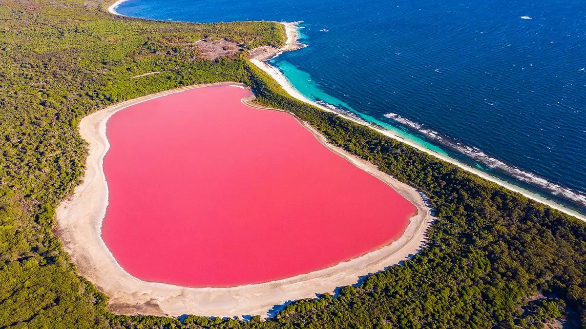 Por que os lagos rosados de Australia son rosas?