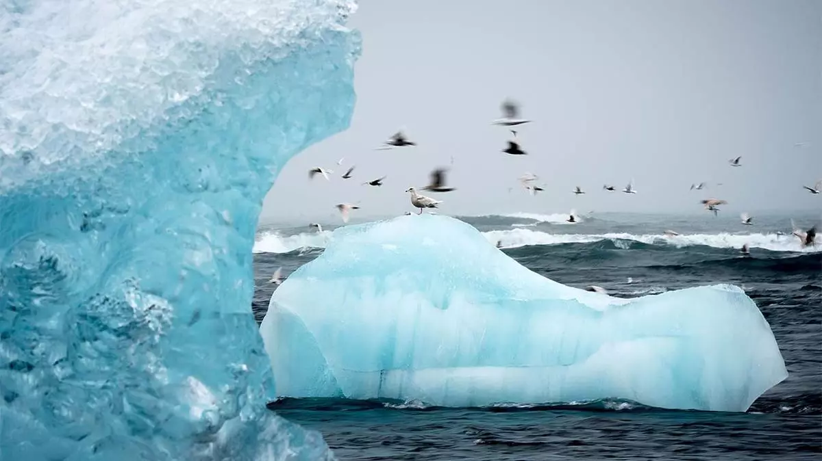 Pénurie d'eau? Let's Lasso un iceberg