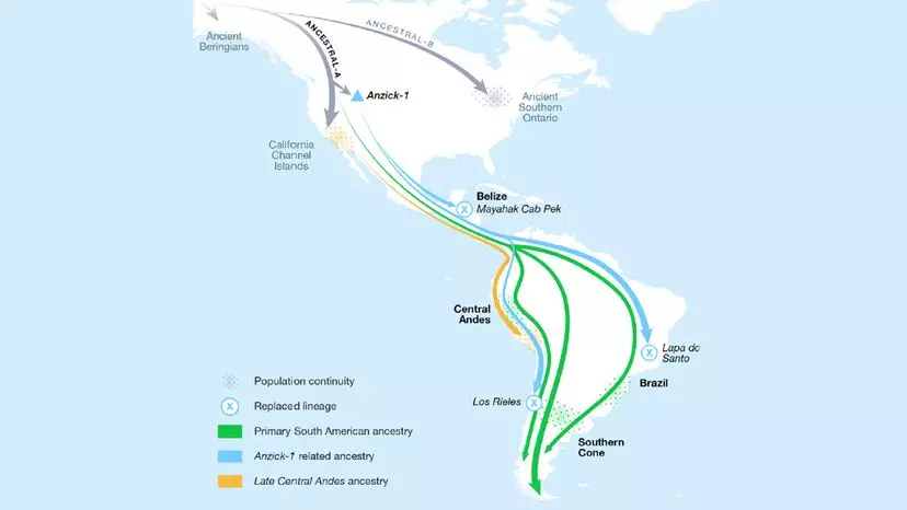 mapa de migracion