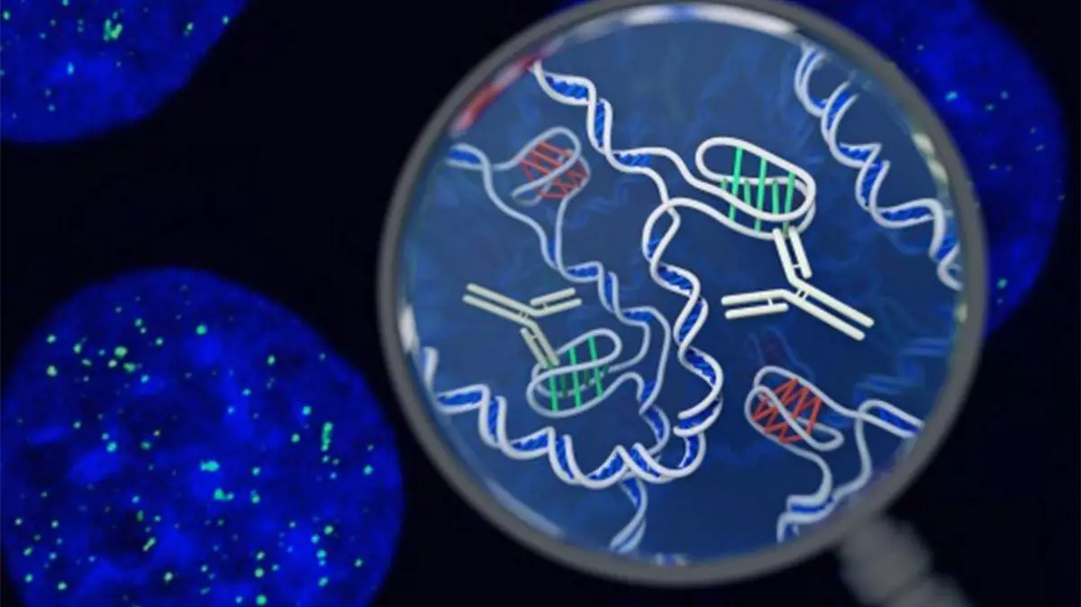 Misteriosa nova estrutura de DNA encontrada em células humanas vivas