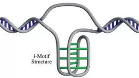 i- motif، حجره