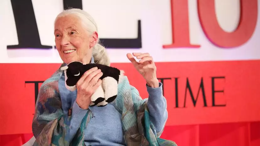 ဒေါက်တာ Jane Goodall