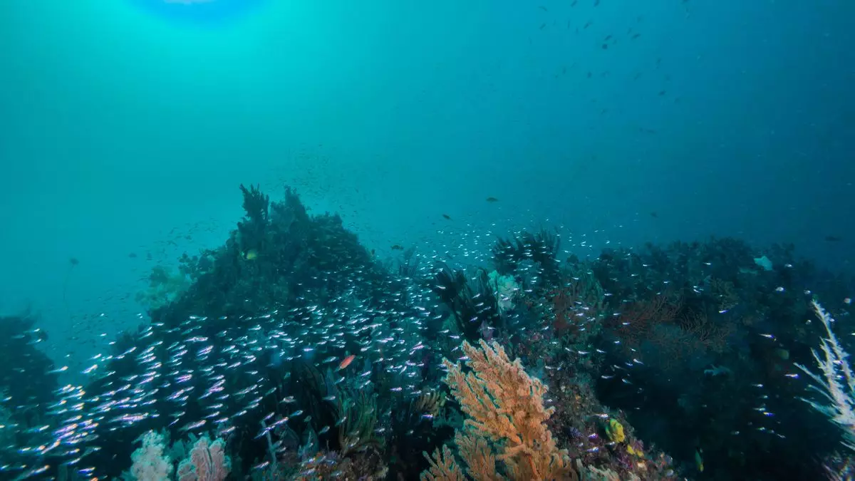 Kami Tungtungna Ngarekam Hum di Dasar Laut