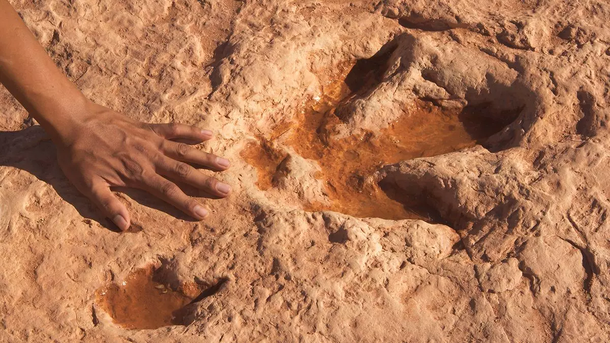 Donya Kita Sugih Kanthi Papan Kanggo Deleng Trek Dinosaurus Nyata