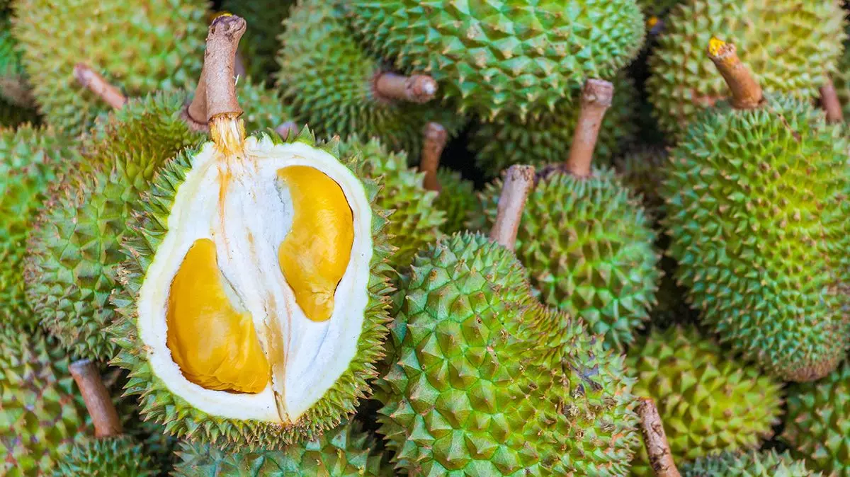 Cancerforskare sniffar fram generna bakom Durians berömda stink