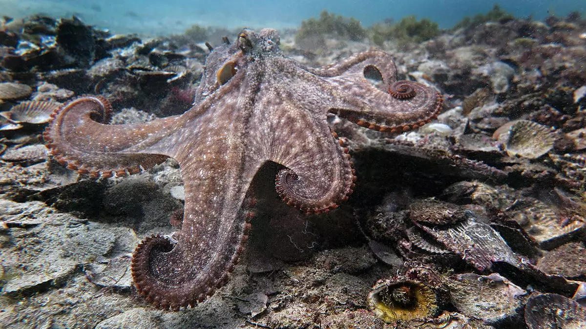 Glupo, čudno i tužno: naše najbolje priče koje ste možda propustili ovog tjedna