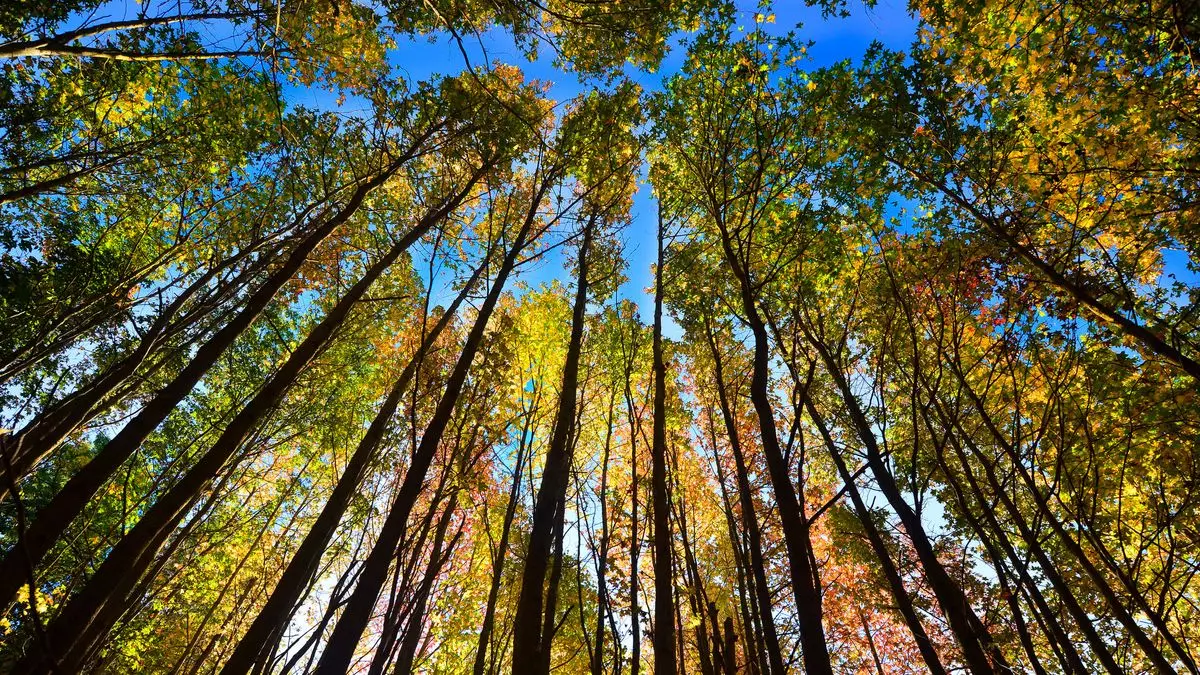 5 Bagay na Hindi Mo Alam Tungkol sa Autumnal Equinox