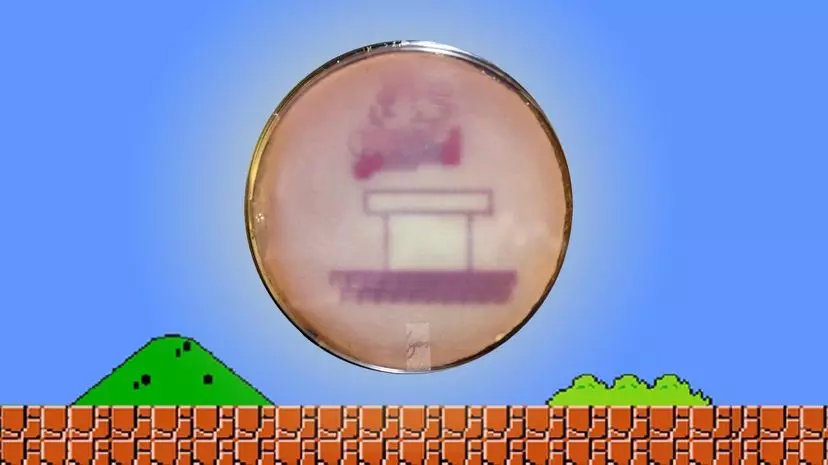 Super Mario, ahogy E. coli baktériumok rajzolták. A HowStuffWorks hozzáadta a hátteret.