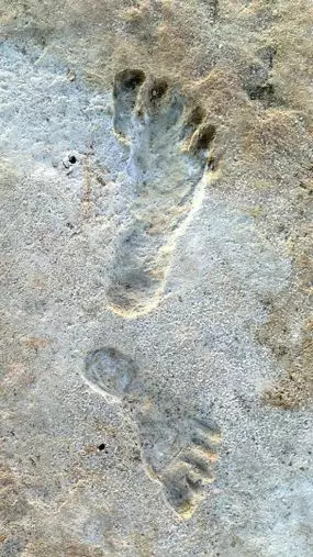 dấu chân hóa thạch
