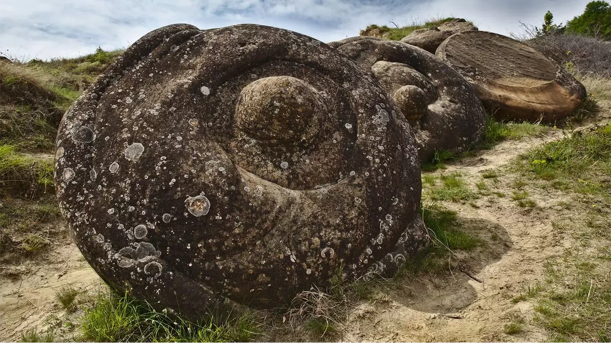 ٹروانٹس وہ پتھر ہیں جو بظاہر بڑھتے، حرکت کرتے اور دوبارہ پیدا ہوتے ہیں۔