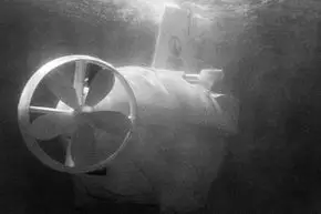 V sedemdesiatych rokoch minulého storočia zohral rozkošný ponorný čln Alvin kľúčovú úlohu pri pomoci vedcom pri objavovaní trubicových červov.