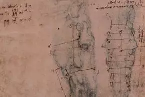 Það kemur ekki á óvart að da Vinci, þekktur fyrir bæði rannsóknir sínar á líffærafræði og vélrænni sköpun sína, hefði snúið hendi sinni að því að búa til sjálfvirka.