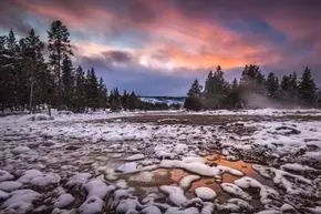 Allt rólegt (í bili) við vetrarsólsetur í Yellowstone þjóðgarðinum.