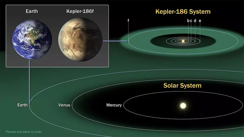 Keplero-186