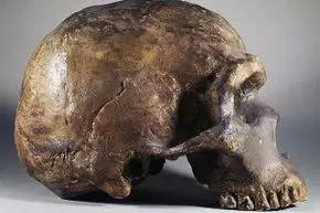 Awọn ibeere wa nipa ibatan awọn eniyan ode oni pẹlu Neanderthals ti o wa papọ.