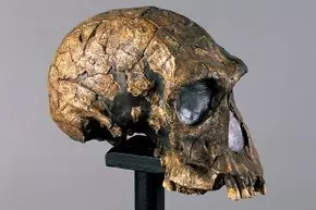 Nimi Homo habilis tuleneb selle liigi hüüdnimest: