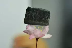 E Kuelestoff Schwamm aus Aerogel läit op dëser Kiischtebléieschau. Obwuel et méi hell ass wéi Helium, kann et Ueleg 250-900 Mol seng eege Mass absorbéieren.