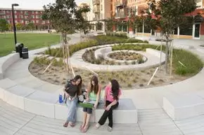 O West Village do campus da UC Davis é a comunidade de enerxía neta cero (ZNE) máis grande dos Estados Unidos: xera tanta enerxía como a que consome e usa bioswales para captar a auga da choiva.