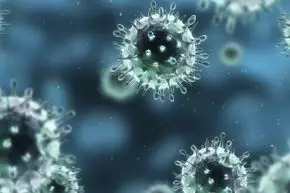 گهڻا ماڻهو وائرس تي گهڻو ڌيان نه ڏيندا آهن جيستائين اهي بيمار نه هجن، پر ڪيترائي مختلف وائرس توهان جي ذاتي مائڪروبيل ڪميونٽي جو هڪ لازمي حصو آهن.