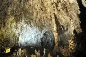Carlsbad Caverns වලට යටින් ඇති මෙවැනි ගුහා වල විභව ප්‍රතිජීවක වන පාෂාණ කන බැක්ටීරියා ඇත.