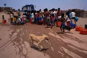 Перугийн Лима хотын ядуусын хороолол болох Вилла Эль Сальвадор хотод ус хомсдох үеэр ус худалдаж авахаар цугларсан хүмүүсийн хажуугаар нохой явж байна.