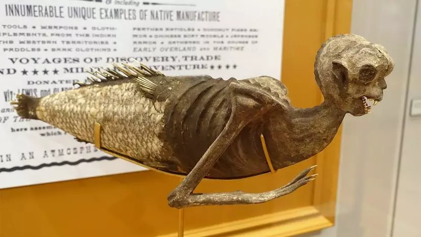 Feejee Mermaid