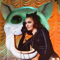 Džūlija Ņūmāra, galvenā Kaķu sieviete