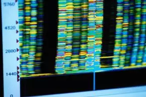 I en genetisk karta lika komplex och komplex som DNA-konfigurationen som visas här, har en patenterad sekvens potential att blockera framsteg för forskare med begränsad finansiering.