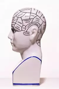 Modell des menschlichen Kopfes