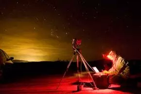 Agak jelas mengapa ahli astronomi jengkel terhadap pencemaran cahaya, tetapi adakah anda tahu haiwan turut terjejas?