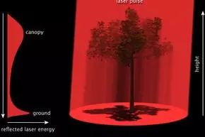 Ngwa LIDAR na-atụ ogologo osisi site n'ịgbapụ ọkụ laser n'elu osisi; ha na-atụkwa mmegharị n'ime oghere ụwa.