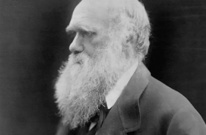 Kumaha Charles Darwin Gawé