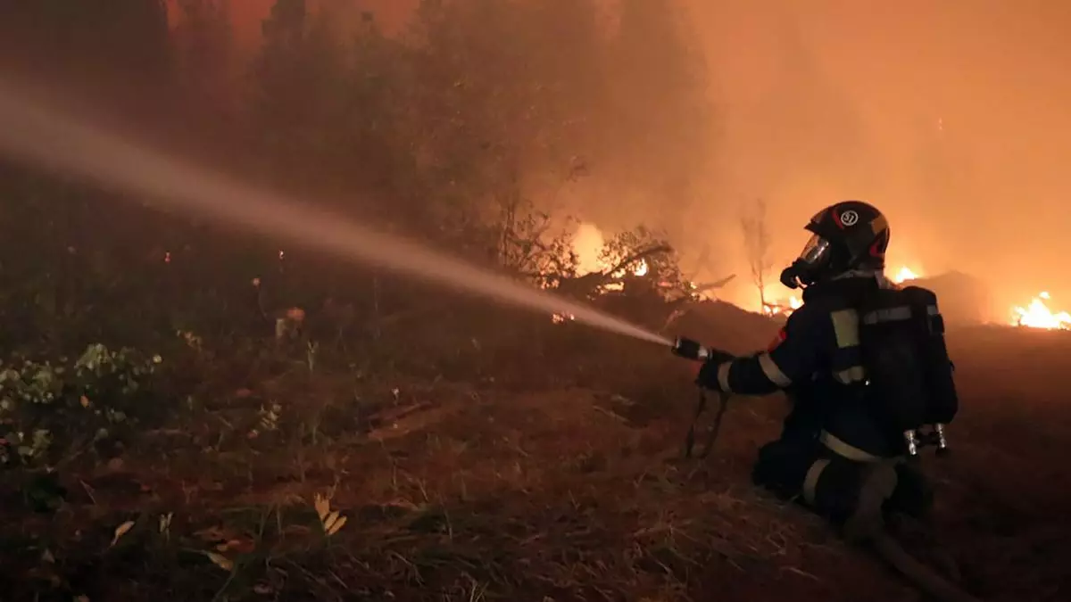 साइबेरिया के जंगल की आग बौना ग्लोब पर अन्य सभी संयुक्त