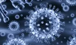 Các nhà khoa học công nghệ nano nghiên cứu virus với hy vọng phát triển các phương pháp điều trị mới cho các bệnh như ung thư.