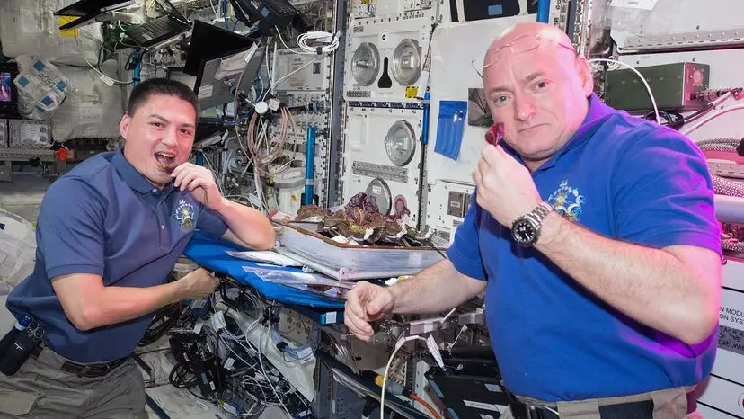 Astronot Scott Kelly (rast) û astronot Kjell Lindgre li ser ISS