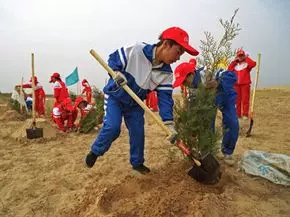 Kínai diákok ültetnek fákat Pekingtől északra az elsivatagosodás megelőzését célzó projekt részeként.