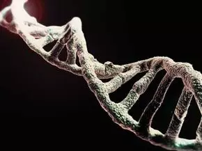 डीएनए आपके लिए आनुवंशिक योजना प्रदान कर सकता है, लेकिन विभिन्न कारक प्रभावित करते हैं कि वह योजना कैसे व्यक्त की जाएगी।