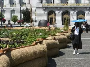 Bio-Lebensmittel sind großartig, wenn sie vor Ort gegessen werden – der Fall für diesen Garten des Rathauses von San Francisco. Aber es ist nicht die umweltfreundliche Standardeinstellung, für die viele es halten.