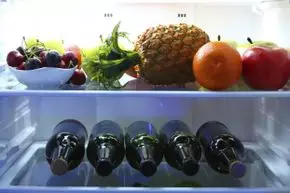 Einstein e o amigo físico Leo Szilard crearon un frigorífico de absorción que está a ter un interese renovado décadas despois.