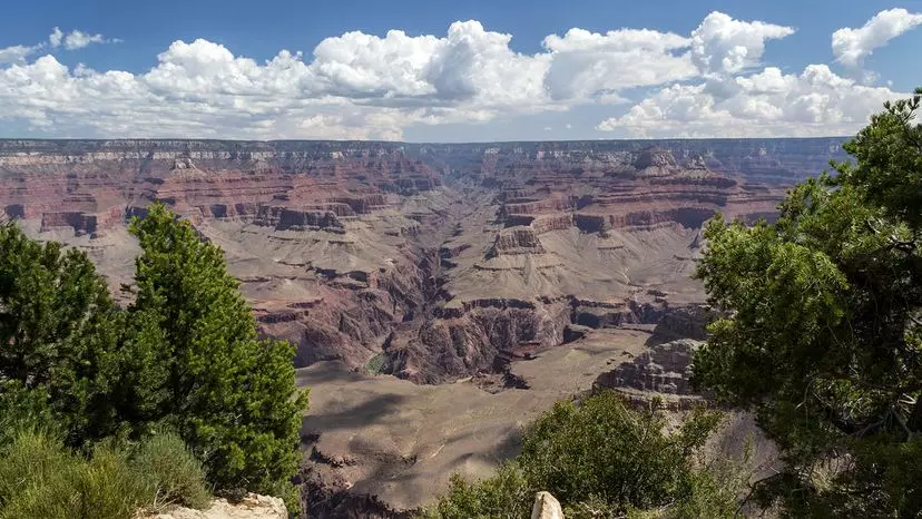 L'orlo meridionale del Grand Canyon