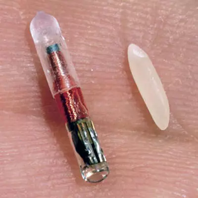 Microchip Companies Cite Irreconcilable Frequencies