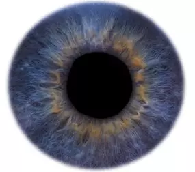 Biometrie gebruik unieke kenmerke, soos die iris van jou oog, om jou te identifiseer.